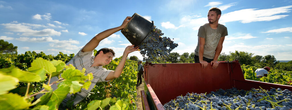 Notre Savoir-Faire | Maison Brotte