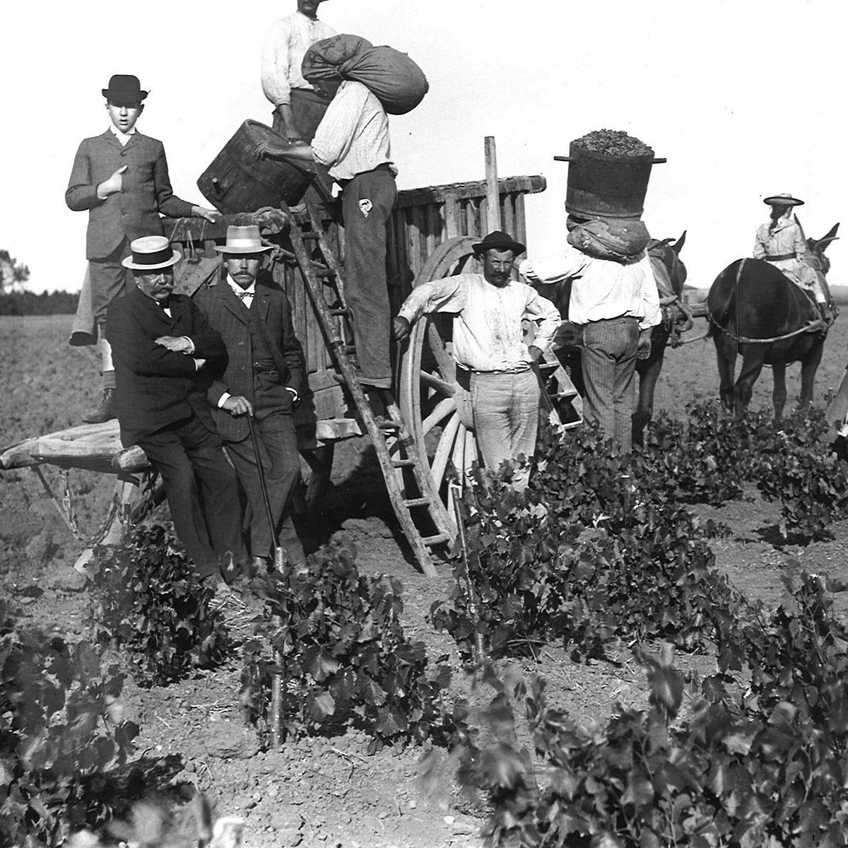 Notre Histoire | Maison Brotte