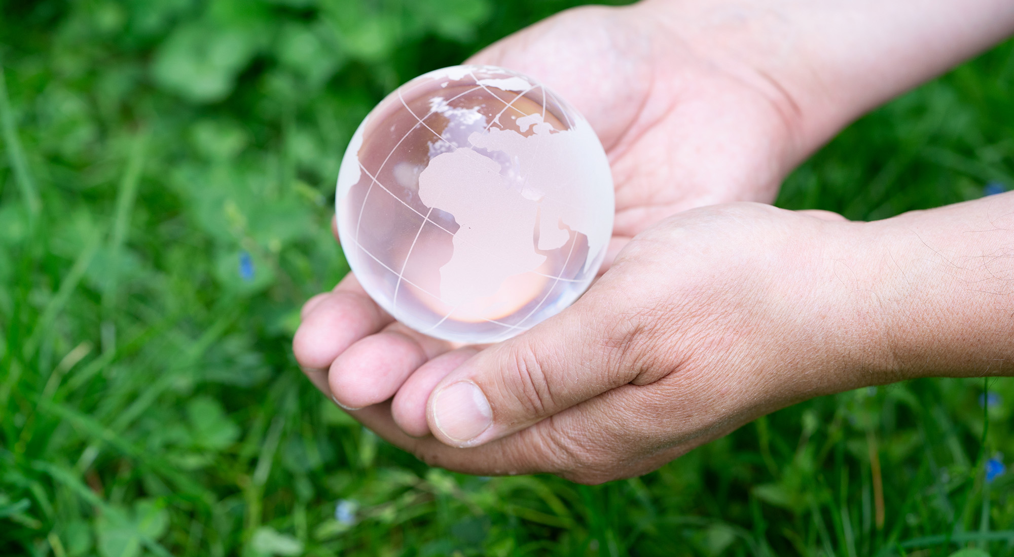 Conversion Bio | Maison Brotte