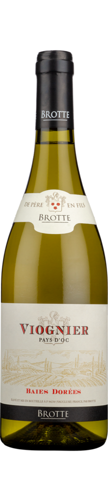 Viognier - Baies Dorées - white | Maison Brotte