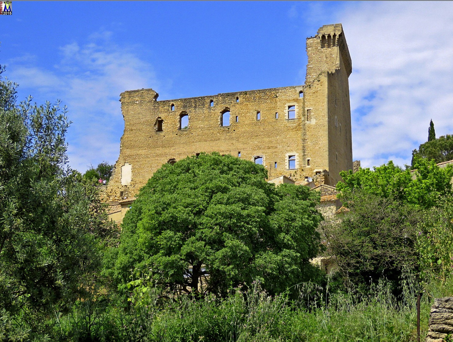 Newsletter april 2023 | Maison Brotte