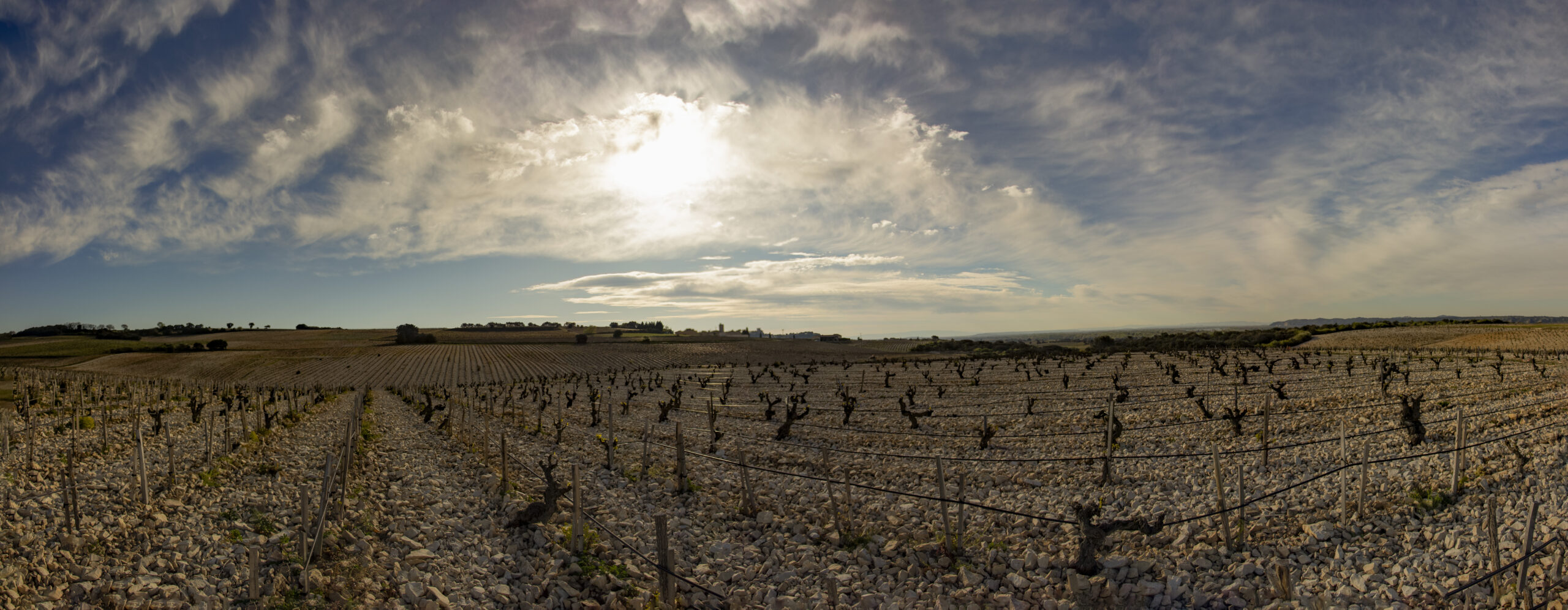 Newsletter mai 2023 | Maison Brotte