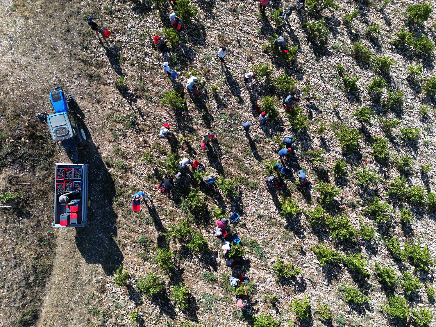 Newsletter octobre 2023 | Maison Brotte