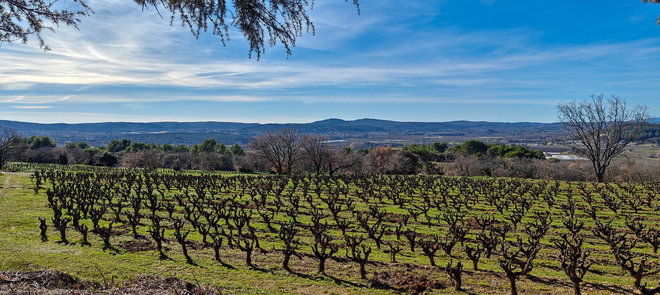 Newsletter mars 2024 | Maison Brotte