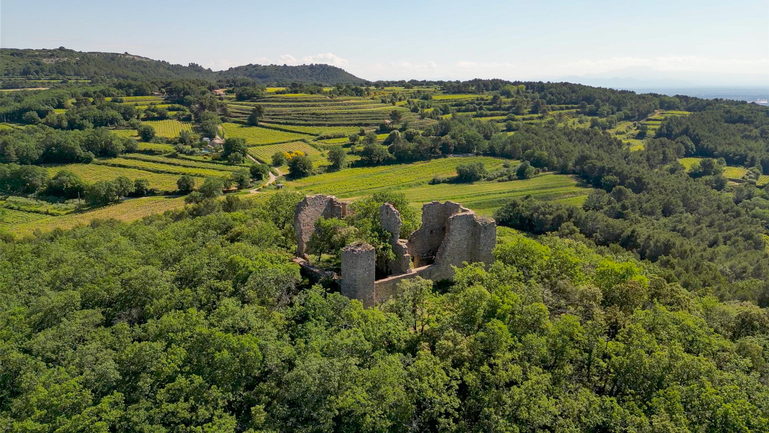 Newsletter may 2024 | Maison Brotte