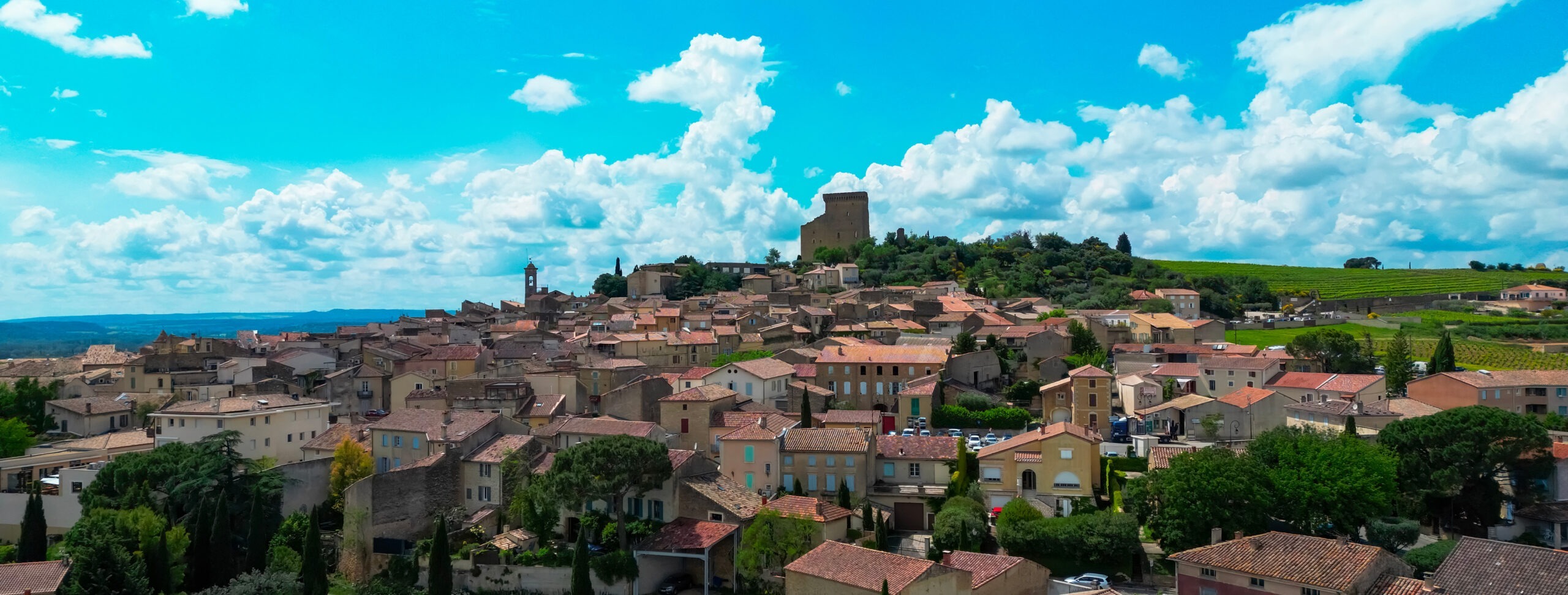 Newsletter juin 2024 | Maison Brotte